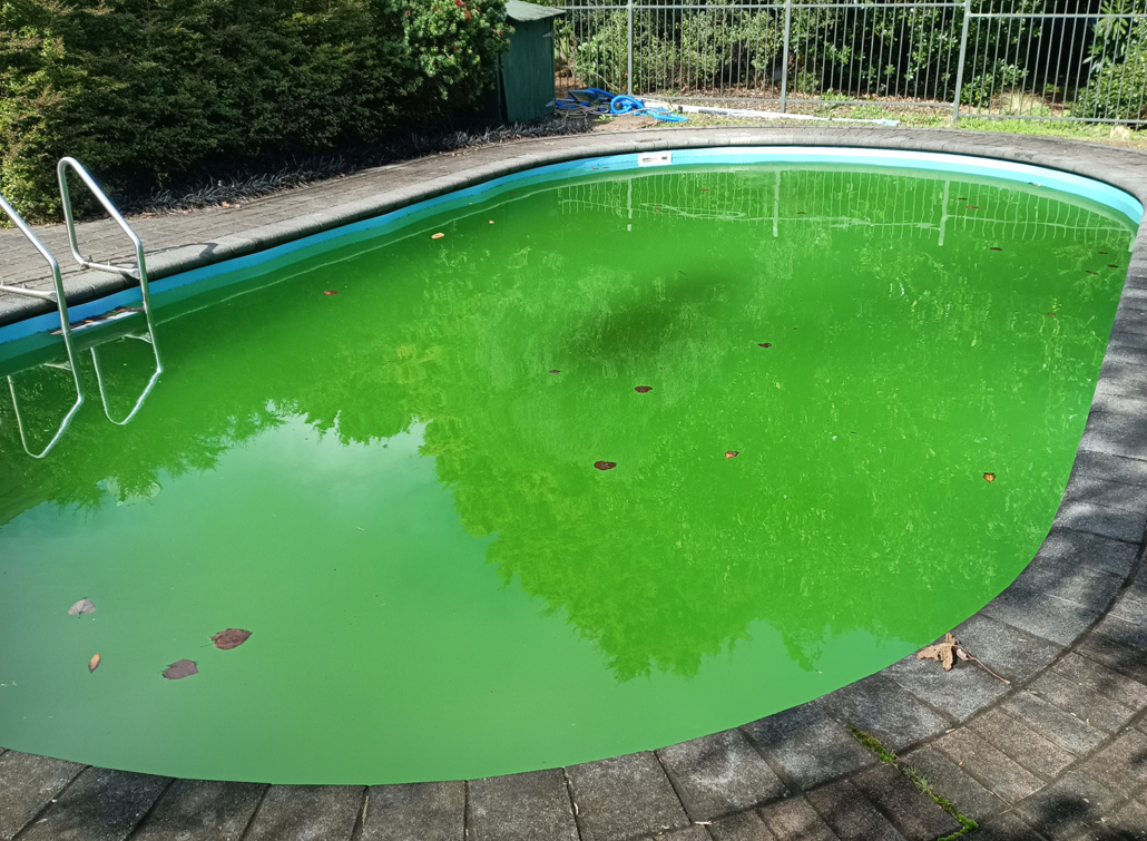 Trust Us to Treat Your Green Pool With Efficiency and Care