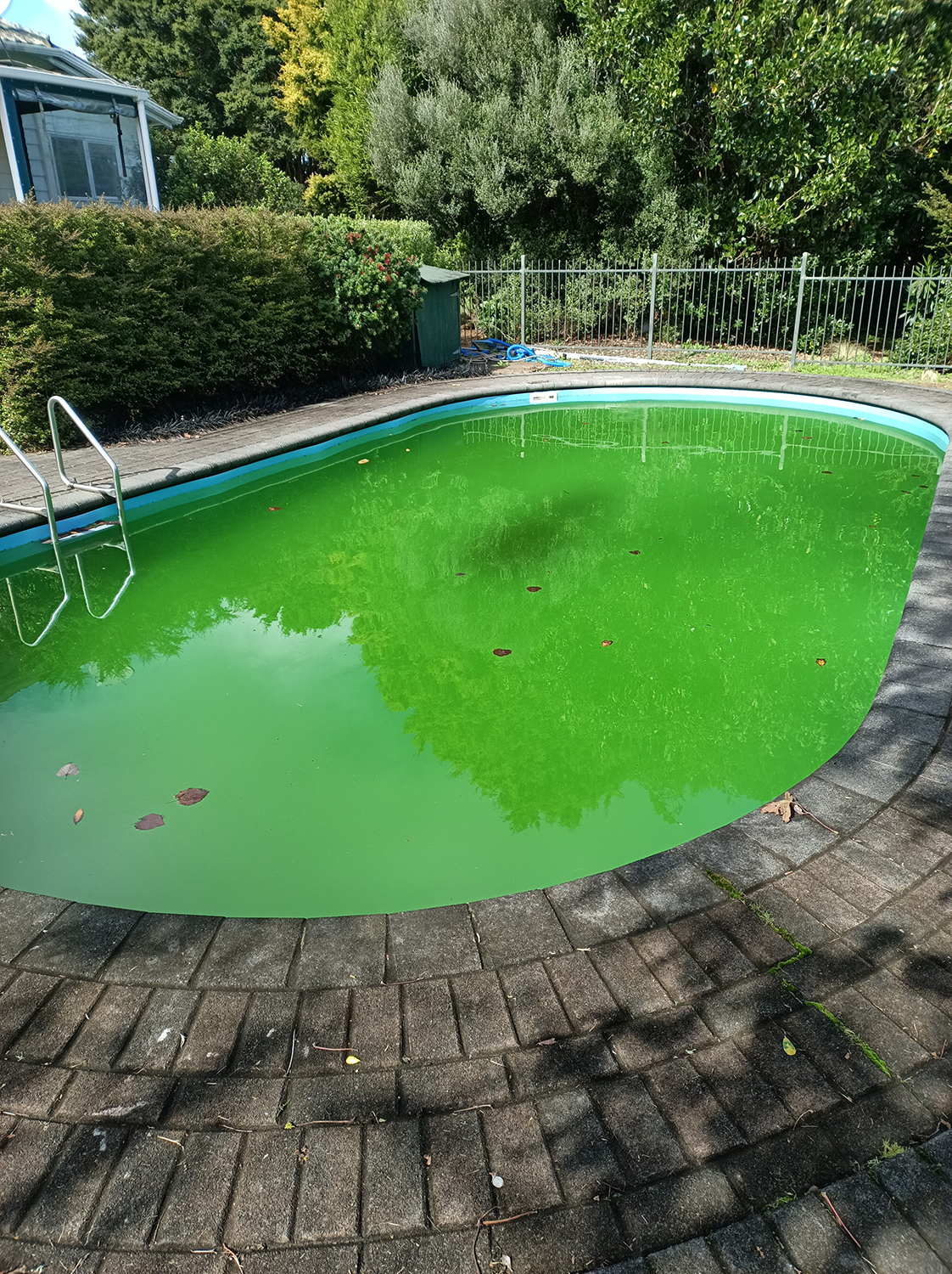 Trust Us to Treat Your Green Pool With Efficiency and Care